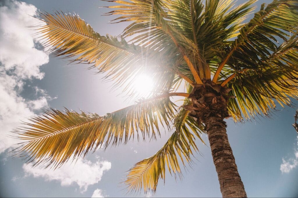 The Economic and Environmental Benefits of Solar Hybrid Generators